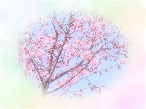 情緒不安定 秘密の関係