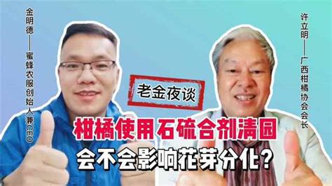 柑橘使用石硫合剂清园会影响花芽分化 蜜蜂TV 梨视频官网 Pear Video