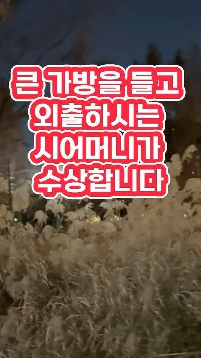 큰 가방을 들고 외출하시는 시어머니가 수상합니다 시어머니 외출 감동사연 Youtube