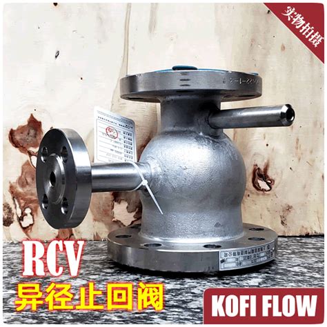 RCV异径止回阀 逆止阀 可选排污法兰压力表接管图片 高清大图 谷瀑环保
