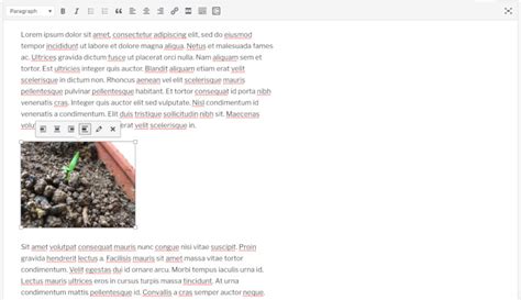 Css Styles For Styling Image Alignment In Your Wordpress Pages And Posts