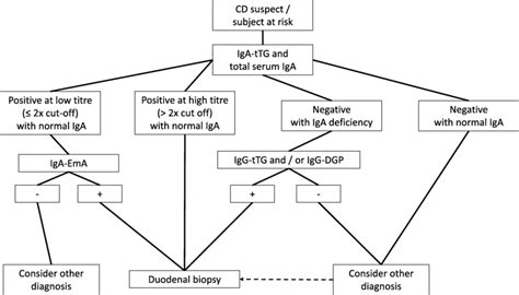 Diagnostic Algorithm For Celiac Disease Diagnosis Download Scientific Diagram