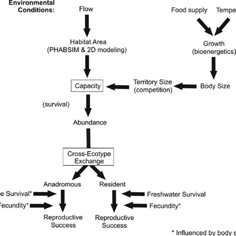 Model Flow Chart Showing Key Model Inputs And Relationships Between