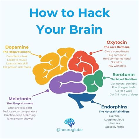 How To Hack Your Brain Boost Happiness With Dopamine Serotonin And More