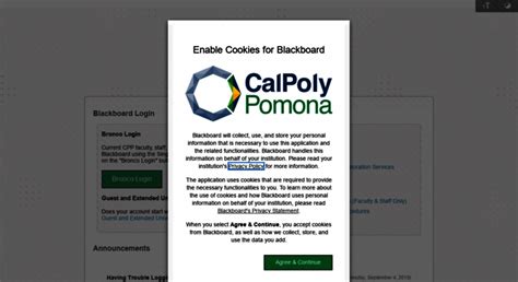 How Do I Drop A Class On Blackboard Cpcc