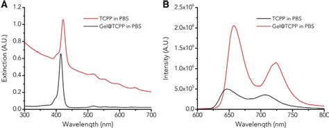 Photophysical Properties Of Tcpp And Geltcpp In Pbs A And B Photophysical Properties Of Tcpp And Geltcpp In Pbs A And B