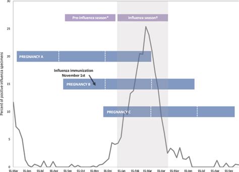 Hypothetical Temporal Alignment Of Ongoing Pregnancies With Influenza Download Scientific
