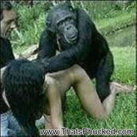 Apes Fucking Girls Bobs And Vagene
