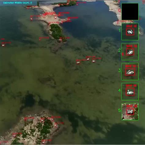 Video Ruchir Kakkad On Linkedin Computervision Conservation Ai