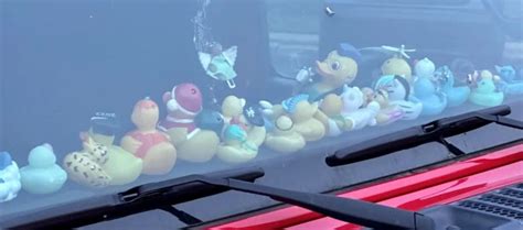 Randy Levine On Linkedin Astrato Dataanalytics Innovation