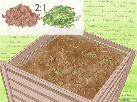 How To Make A Compost Pit A Guide For Backyard Gardening