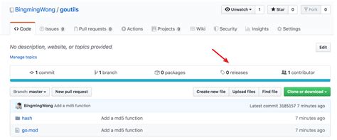 开源发布如何开源自己写的包给别人用 Go编程时光 documentation