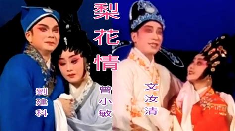 粤劇 古裝粤劇 《梨花情》精編版 曾小敏 文汝清 劉健科主演 廣東粤劇院一團 Cantonese Opera Youtube