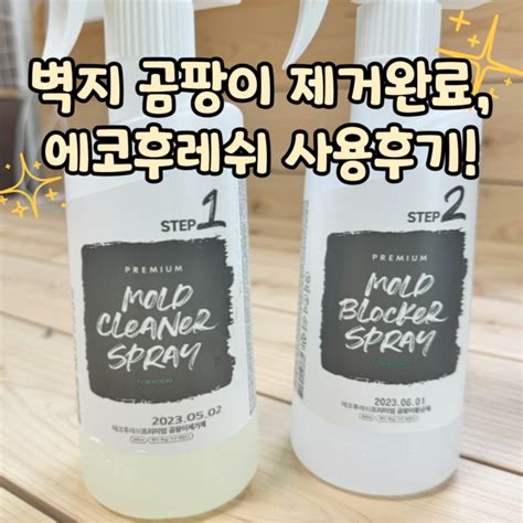 탁월한 선택이었던 벽지 곰팡이 제거제 에코후레쉬 사용 후기 Feat 결로현상으로 생긴 실리콘 곰팡이 라바그로 제거완료 네이버 블로그