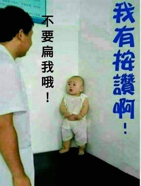 Pin Auf 幽默