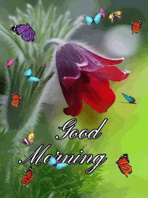 Funny S Good Morning 