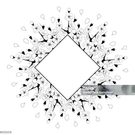 벚꽃이 있는 마름모 프레임 최소한의 인사말 카드 또는 청첩장 템플릿입니다 흑인과 백인 벡터 일러스트 레이 션 0명에 대한 스톡 벡터 아트 및 기타 이미지 Istock