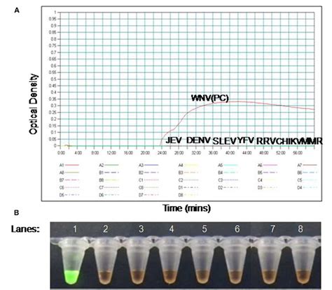 Figure 2 From Polymerase Spiral Reaction Assay For Rapid And Real Time Detection Of West Nile