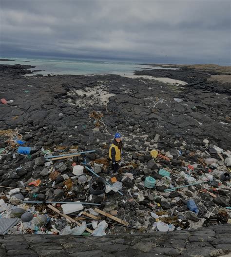 세이브제주바다