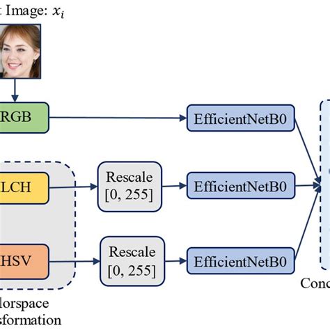 The Overall Architecture Of Our Multi Colorspace Fused Efficientnet Download Scientific Diagram