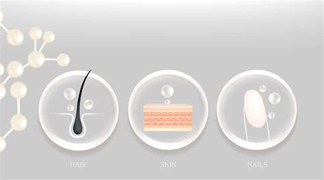 Cho Con B U Ng Collagen C Kh Ng C Ch U Ng An To N Hi U Qu