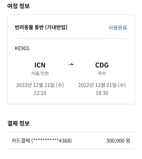 반려생활 애견동반 유럽여행 강아지랑 유럽 여행 준비할 때 필요한 것들