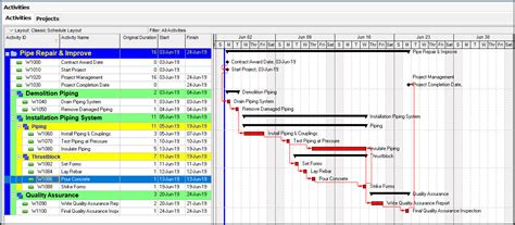 WBS Band Themes In Primavera P6 EPPM Primavera Project 50 OFF
