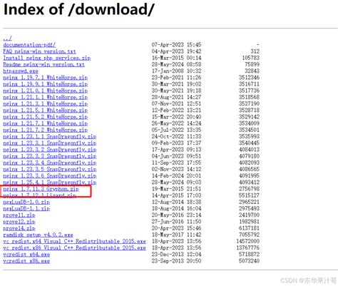【windows Obs开启直播】windows搭建rtmp视频流服务（nginx服务器版）obs Rtmp Csdn博客
