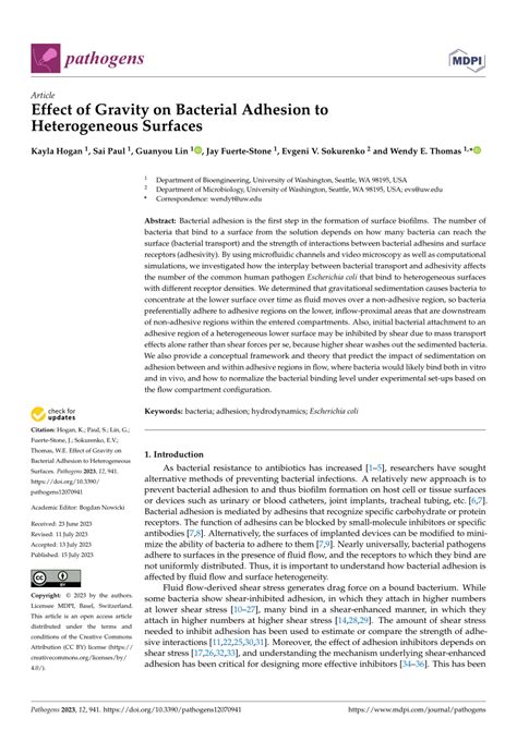 Pdf Effect Of Gravity On Bacterial Adhesion To Heterogeneous Surfaces