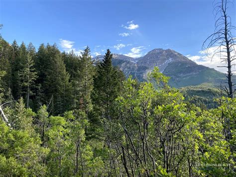 Pine Hollow Loop Utah Hiking Beauty