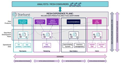 Data Mesh Federated Computational Governance