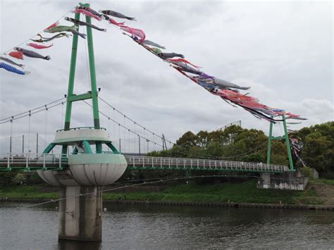 佐倉からのバイクログ 印旛沼CR新川ゆらゆら橋
