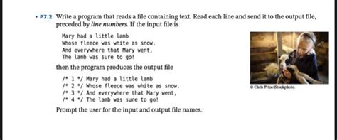 Solved P72 Write A Program That Reads A File Containing