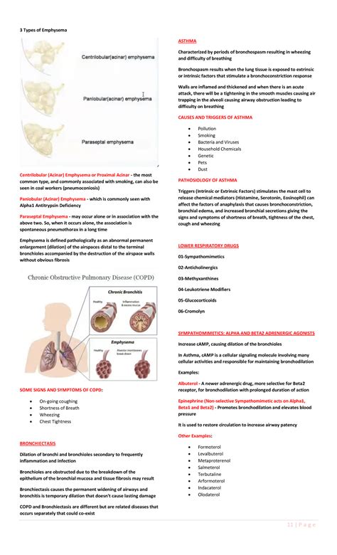 3 Types Of Emphysema 11 P A G E 3 Types Of Emphysema Centrilobular