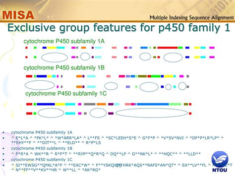 Ppt Group Feature Extraction Based On Multiple Indexing Sequence Alignment Powerpoint