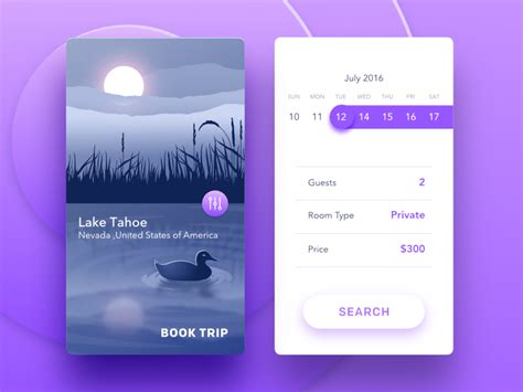 User Interface Design Examples