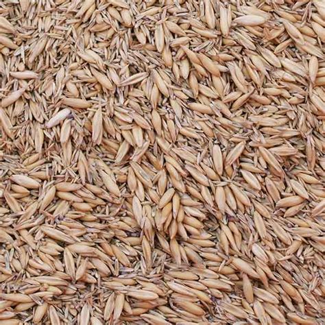 Turfgrass And Seed Educational Articles Lebanonturf