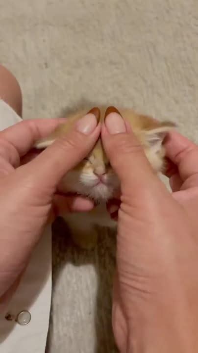 Suraj Parmar Posted On Linkedin