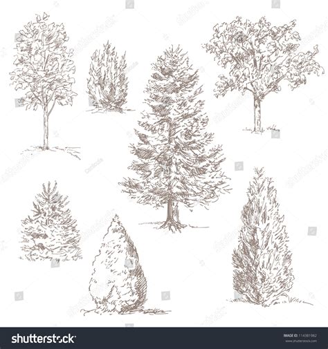 117 734 Bushes Drawing Images Stock Photos Vectors Shutterstock