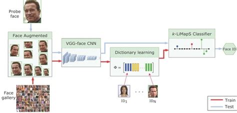 Sensors Free Full Text Robust Single Sample Face Recognition By