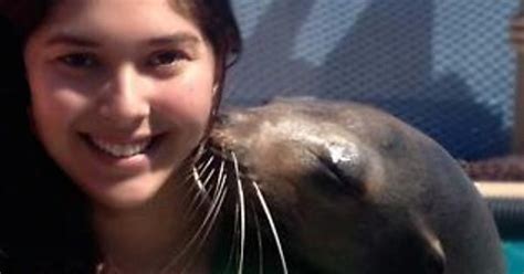 Sea Lion Of Approval Imgur