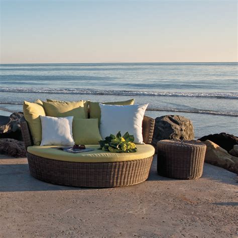 Shell And Zeya — Janus Et Cie