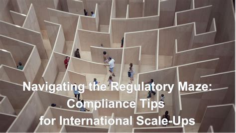 Navigating The Regulatory Maze Compliance Tips For International Scale Ups Bridgehead