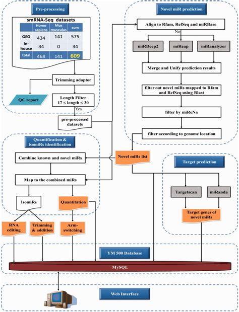 Schematic Representation Of Data Processing Download Scientific Diagram