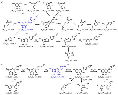 Proposed Msms Fragmentation Pattern Of Flavonoids Eriodictyol A And Proposed Msms Fragmentation Pattern Of Flavonoids Eriodictyol A And