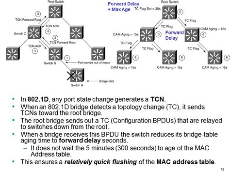 Networking And Scripting Rapid Spanning Tree Protocol