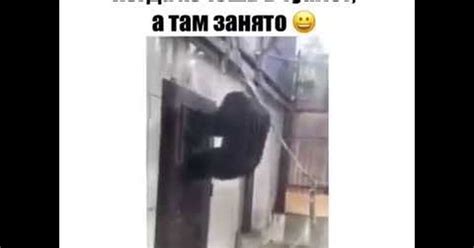 Когда хочешь в туалет а там занято Пикабу