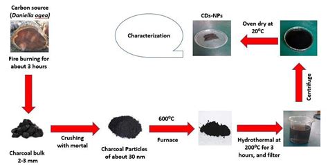 Schematic Diagram Of The Synthesis Of Carbon Dots Download Scientific Diagram