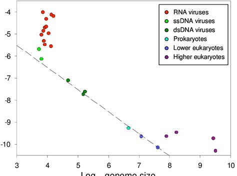 Mutation Rates For Different Biological Entities As A Function Of