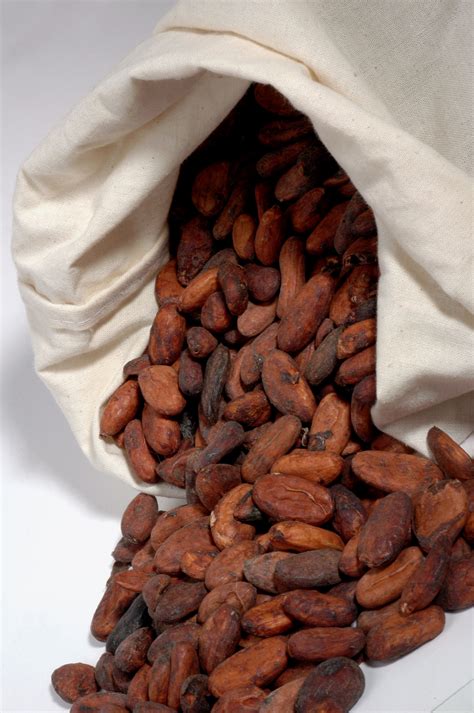 How To Make Cocoa Powder From The Pods Of A Cacao Tree Nomadic Days